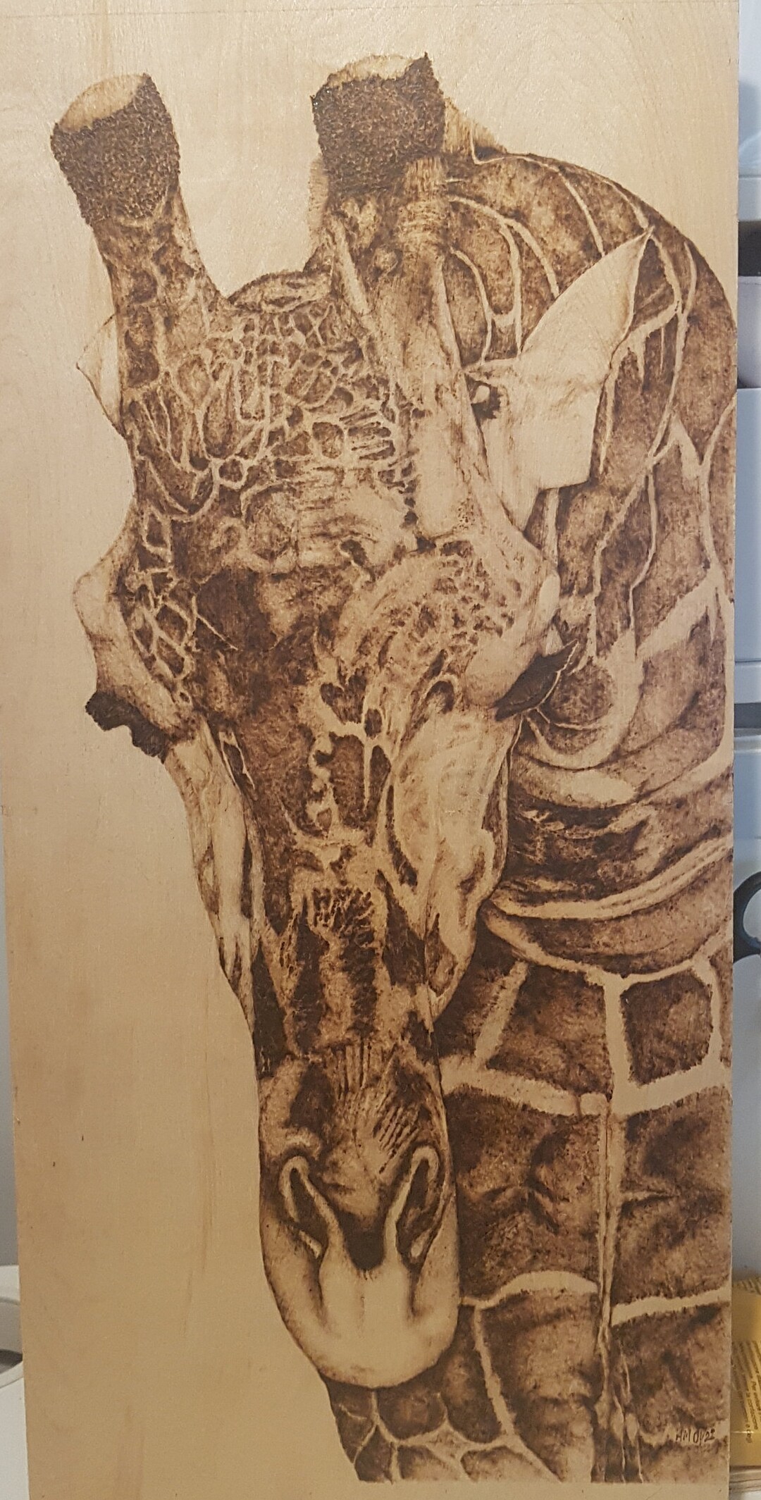 Giraffe Pyrography Art - Etsy