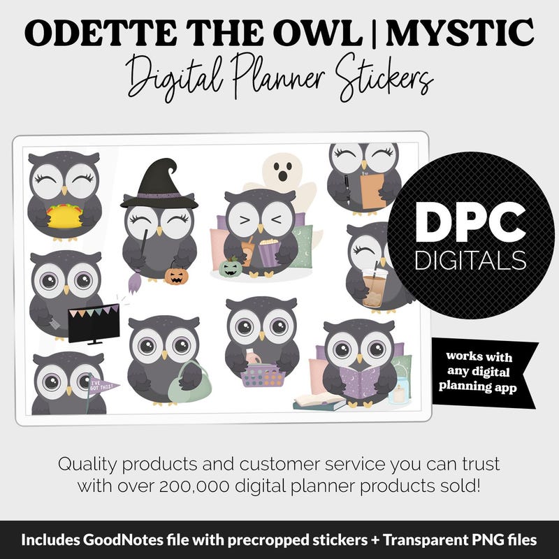 Owl Theme Party - Etsy