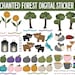 Enchanted Forest Digital Sticker Mega Bundle | Goodnotes & iPad | Fall ...