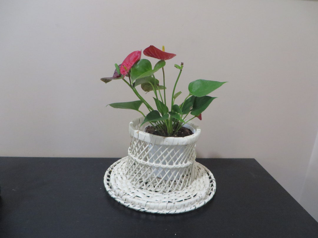 White Wicker Planter, Indoor Planter, Boho Planter, Wicker Planter - Etsy