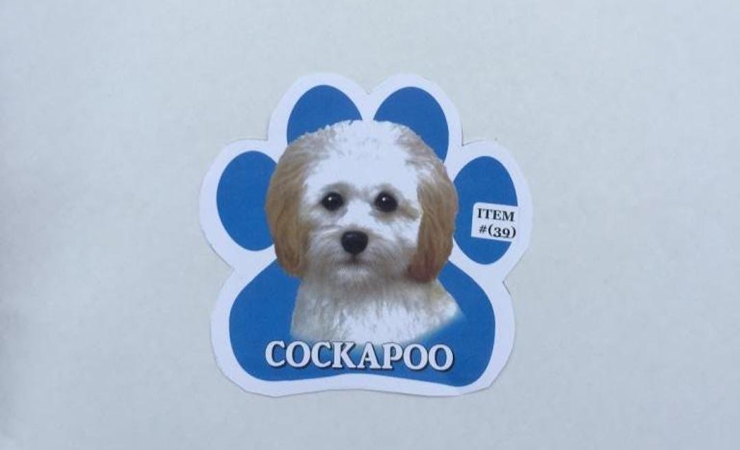 Cockapoo Dog Magnet - Etsy