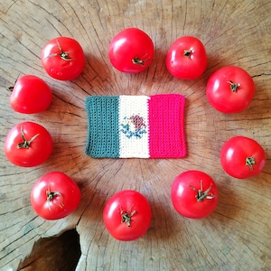 Mexican Flag Crochet Pattern: Mug Rug, Applique, Bunting (PDF Pattern ...