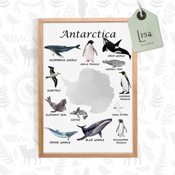 Continent Posters - Etsy