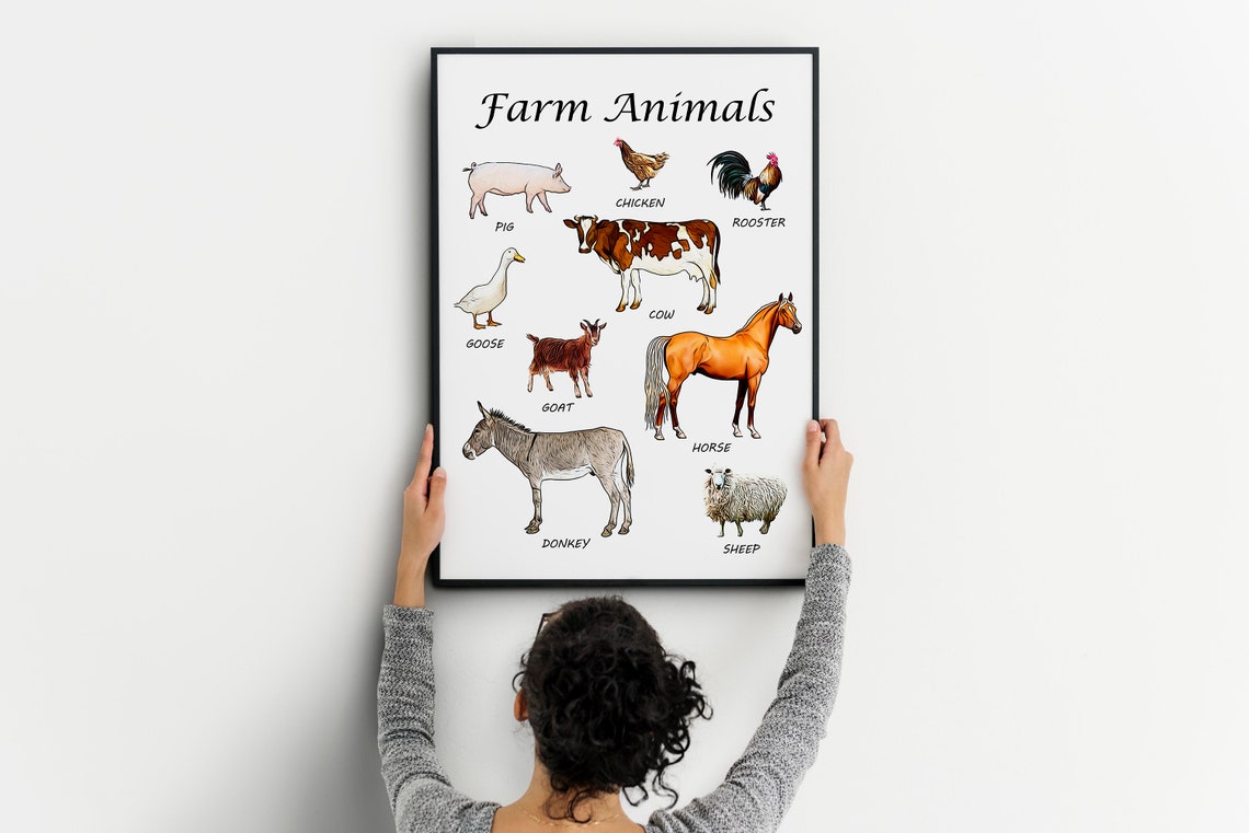 Classroom Posters Farm Animals Classroom Decor Playroom - Etsy