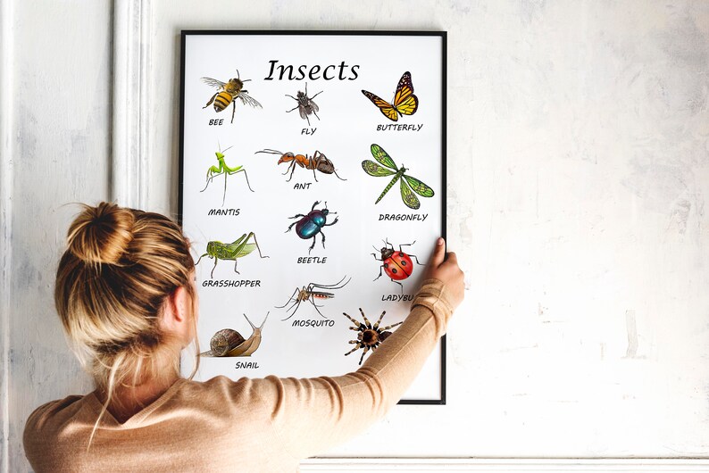 Insects Bugs Entomology Wall Art Printable Classroom - Etsy