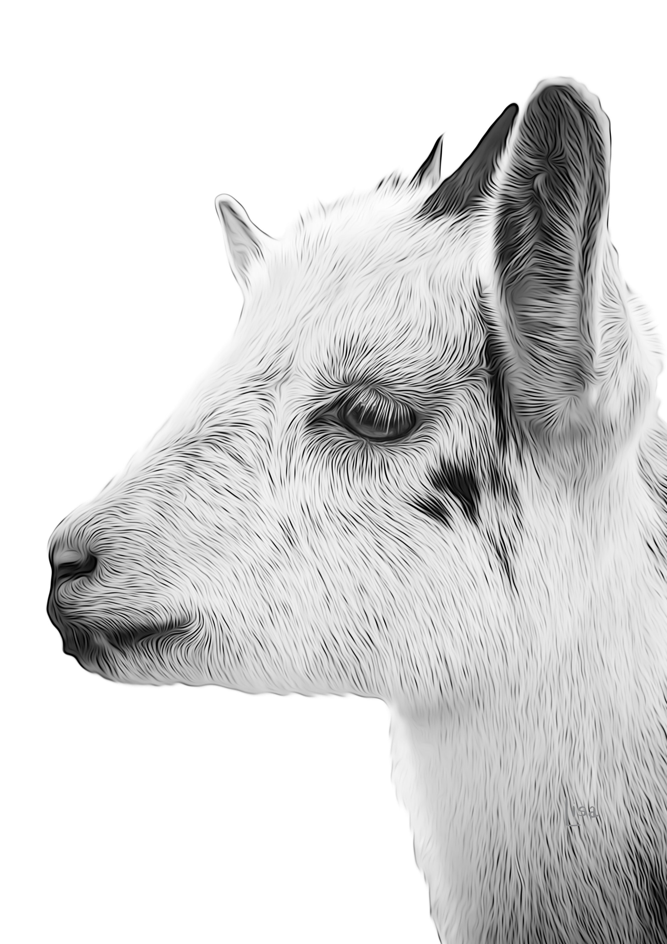 Custom Pet Portrait. Personalized Pet Dog Wall Art digital | Etsy