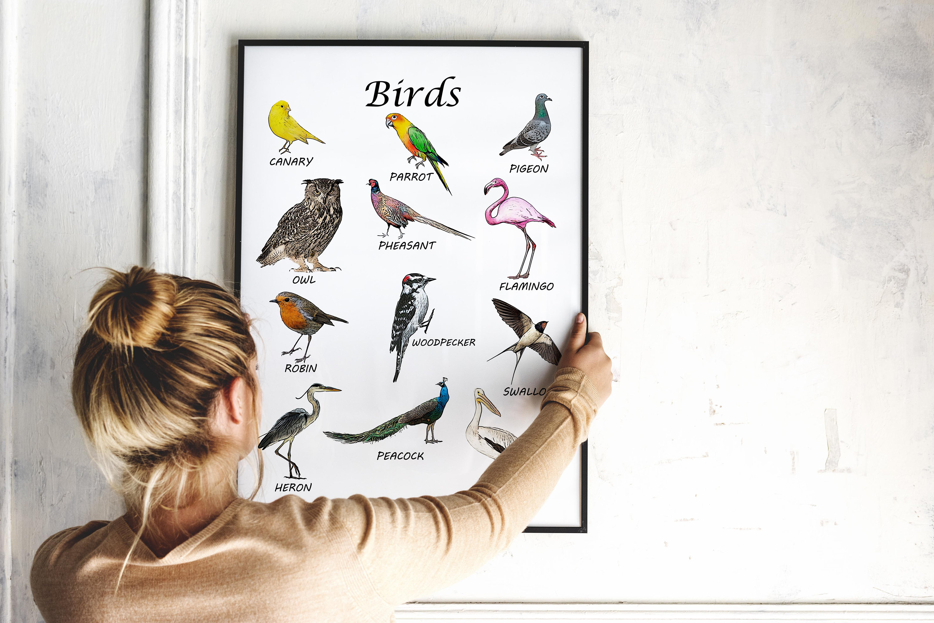 Birds School Poster Bird Art Classroom Posters Classroom | Etsy