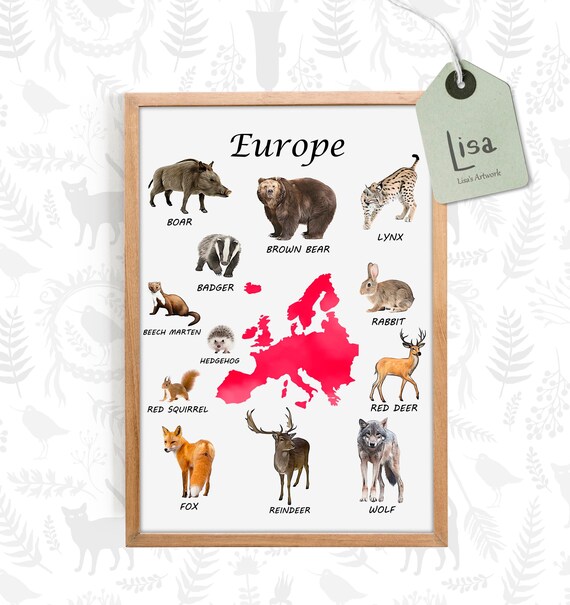 Europe continent montessori classroom posters classroom | Etsy