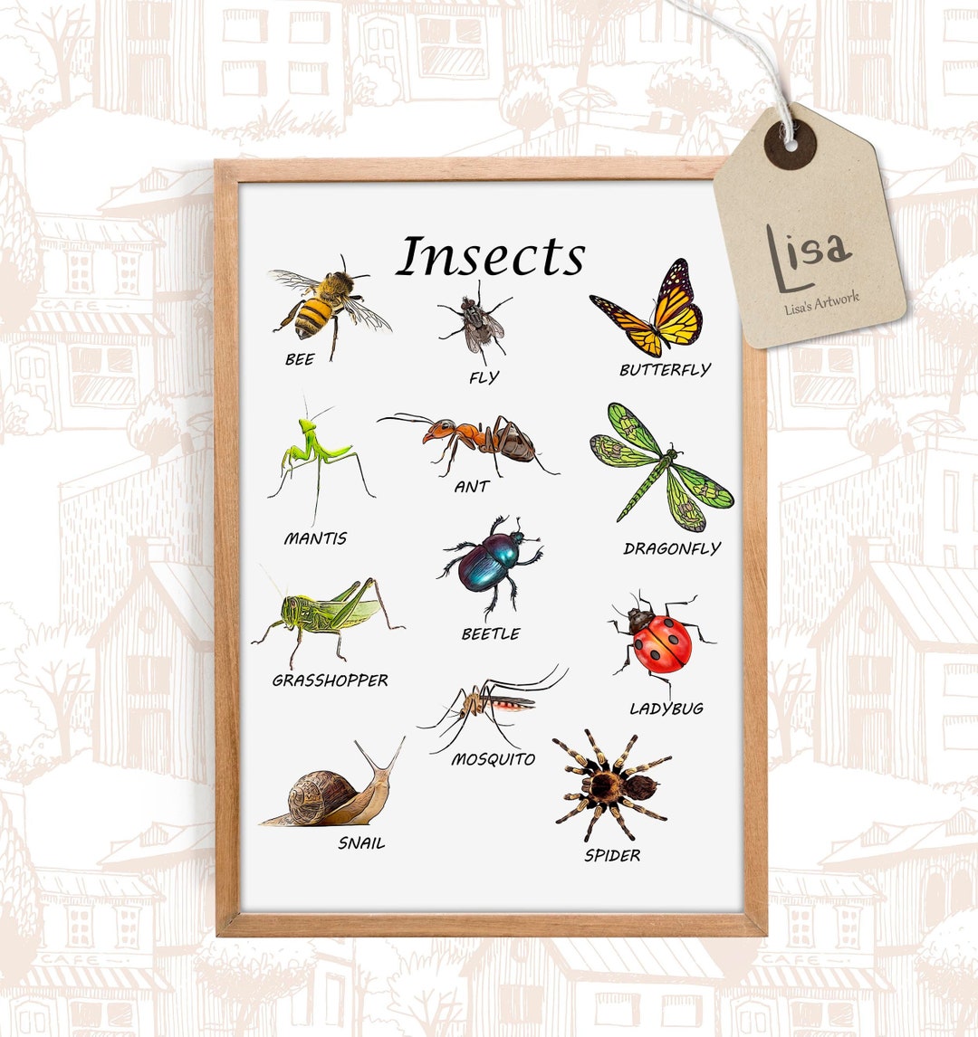 Insects, Bugs, Entomology, Wall Art Printable, Classroom Posters ...