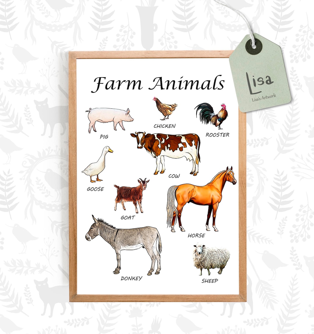 Classroom Posters Farm Animals Classroom Decor Playroom - Etsy