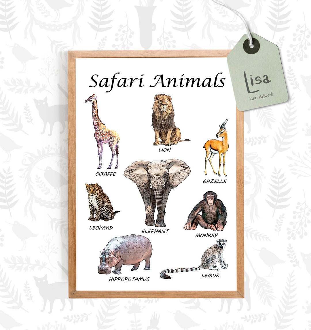 Classroom Posters, Safari Animals, Classroom Decor, Playroom Decor ...