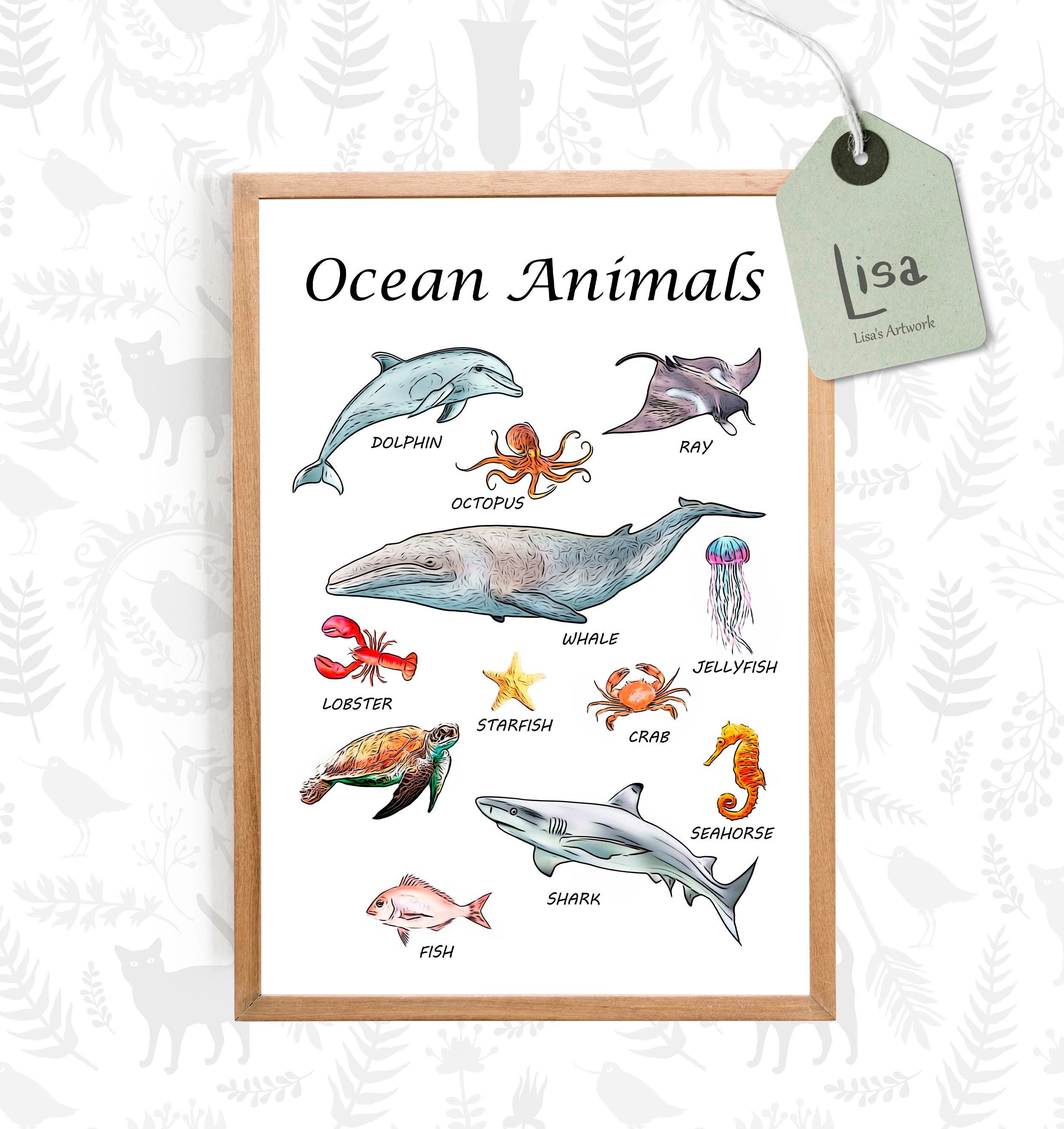 Classroom posters ocean animals classroom decor playroom | Etsy