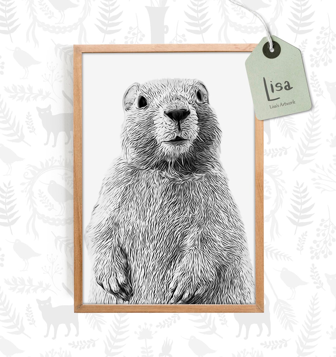 Marmot Print, Posters, Art Prints, Room Decor, Printable, Printable ...
