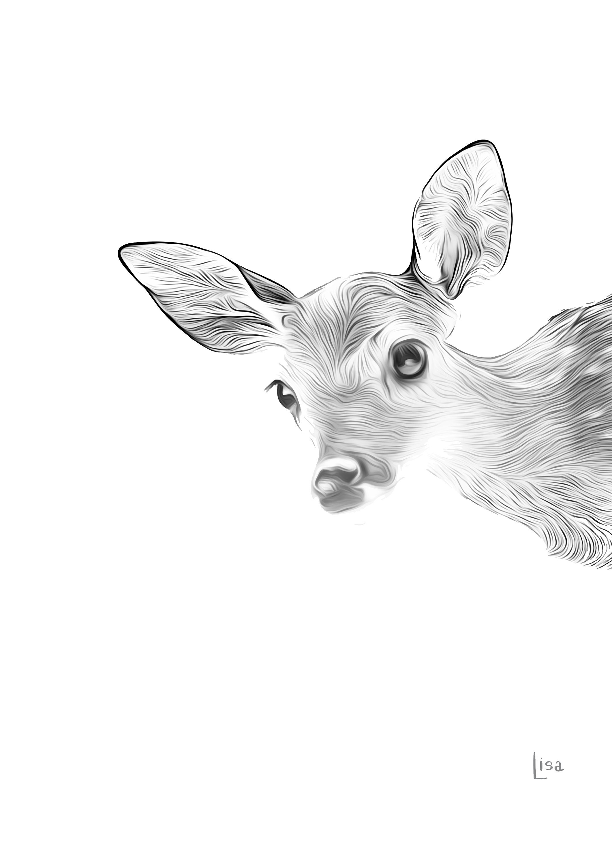 Fawn Nursery Print Set of 2 Black and White Prints Fawn | Etsy