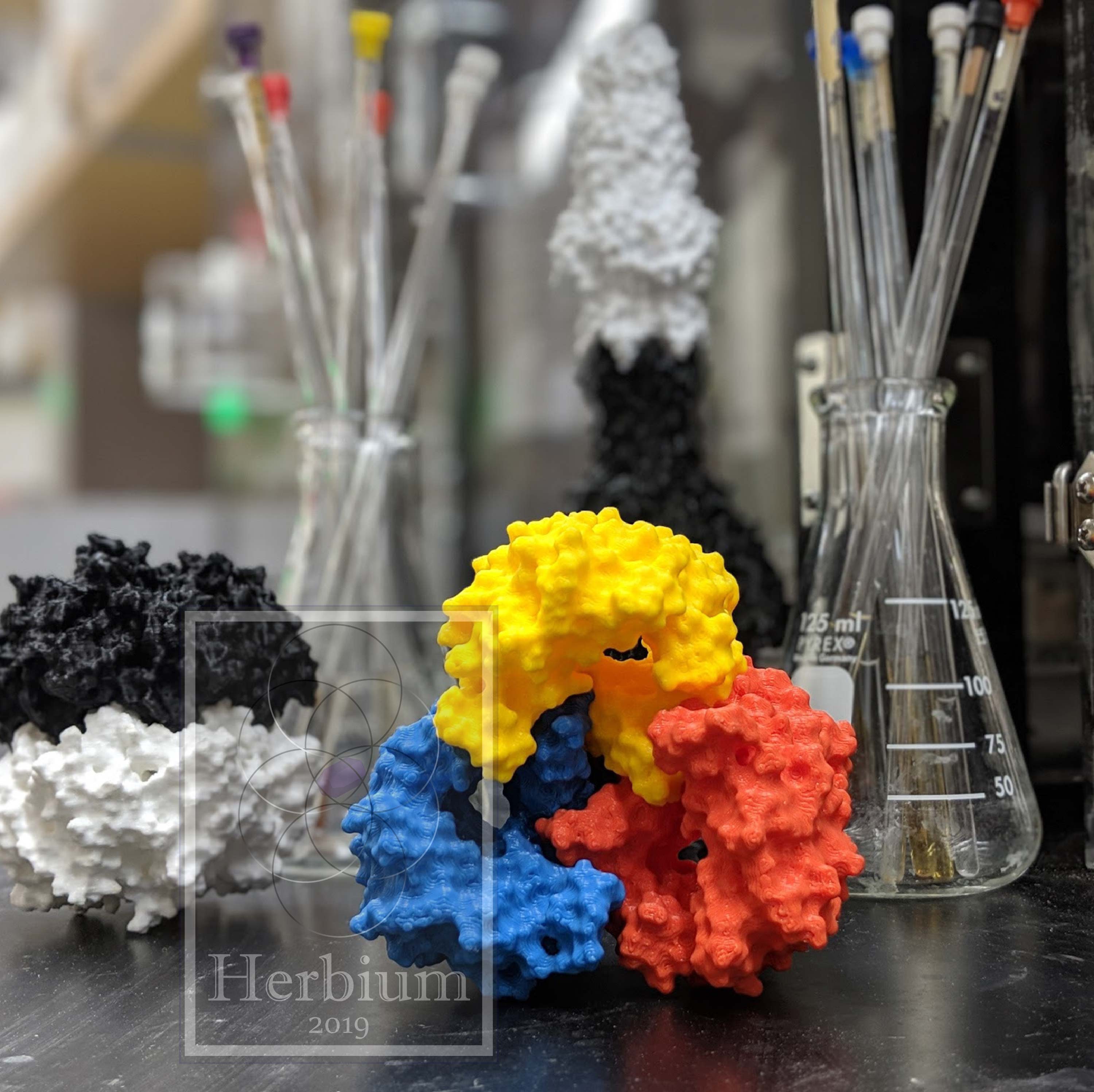 Science Art, Chemistry, Biochemistry, 3d-printed Proteins - Etsy