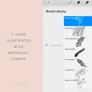 Wild Foliage Hand Drawn Procreate Stamp Brushes | Delicate Botanical ...