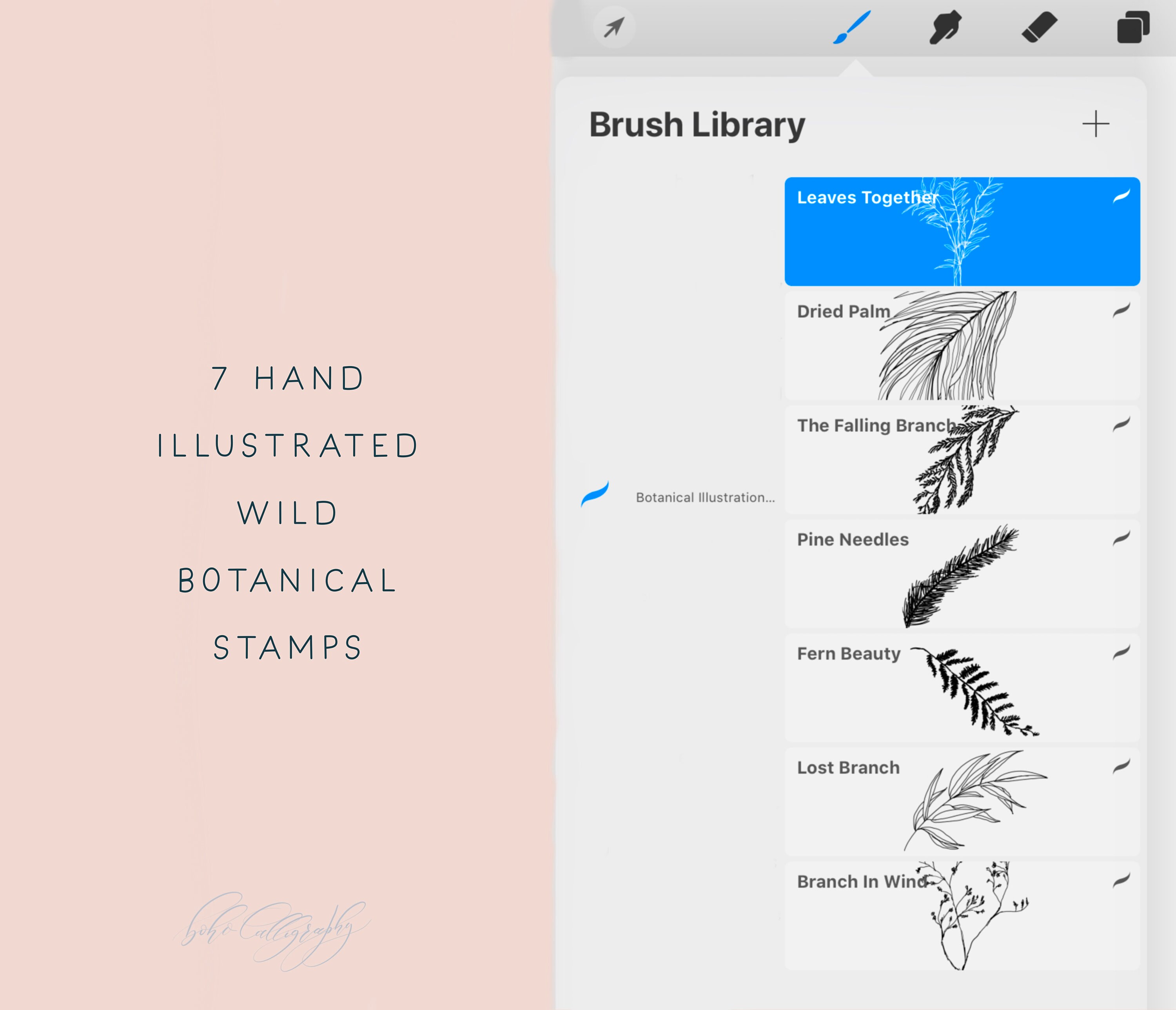 Wild Foliage Hand Drawn Procreate Stamp Brushes | Delicate Botanical ...