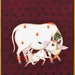Traditional Wall Pichwai of Cow Playing With Her Calf , Trendy Home ...