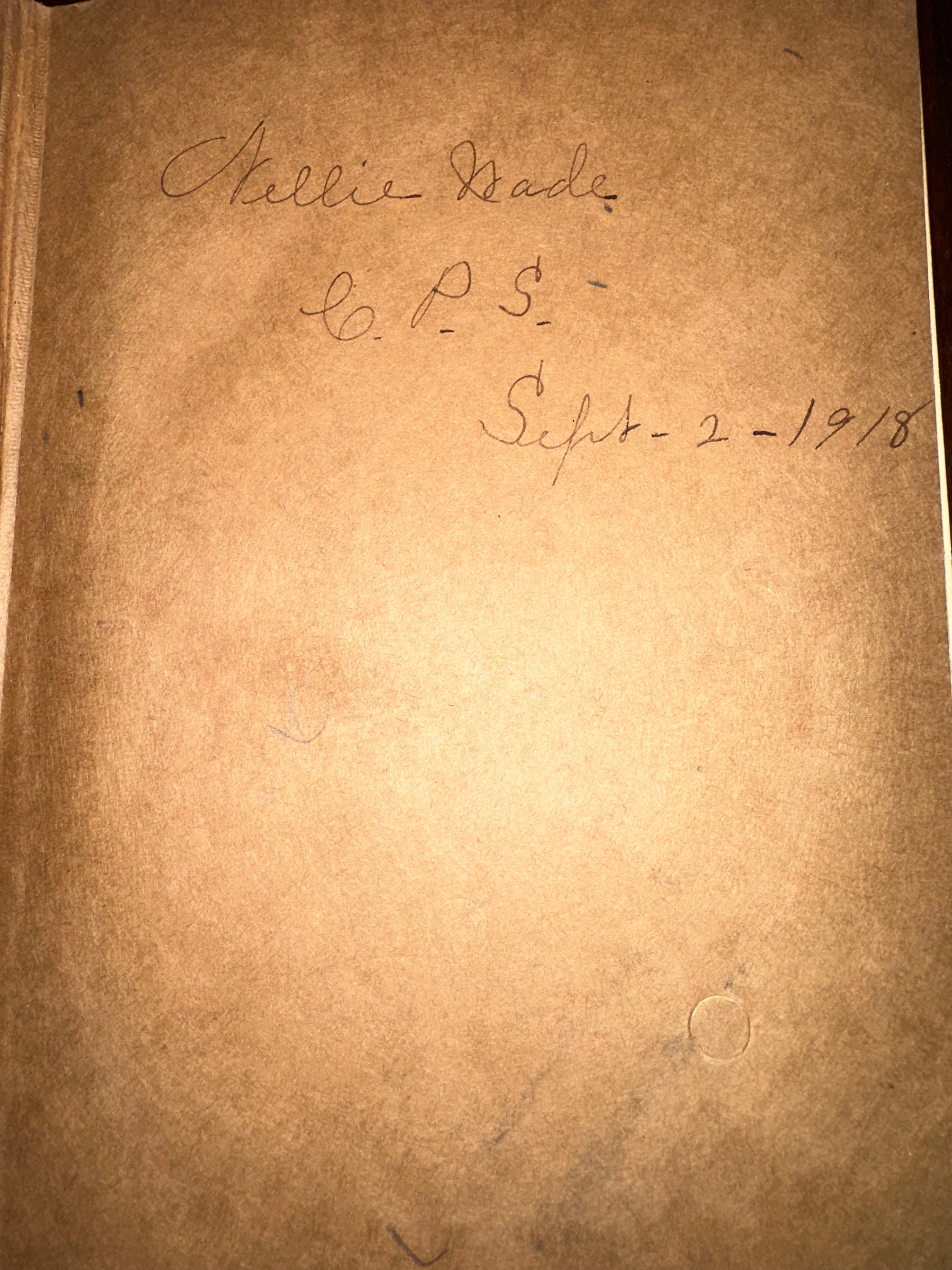 History of Georgia R.P. Brooks 1913 - Etsy