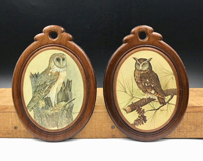 PAIR of Mid-century E. Rambow Owl Print Wood Wall Plaques, Great Horned ...