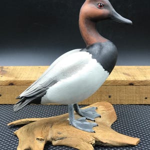 NICE VTG Mark Holland Hand Carved Wood Canvasback Duck, Brewster, Mass ...