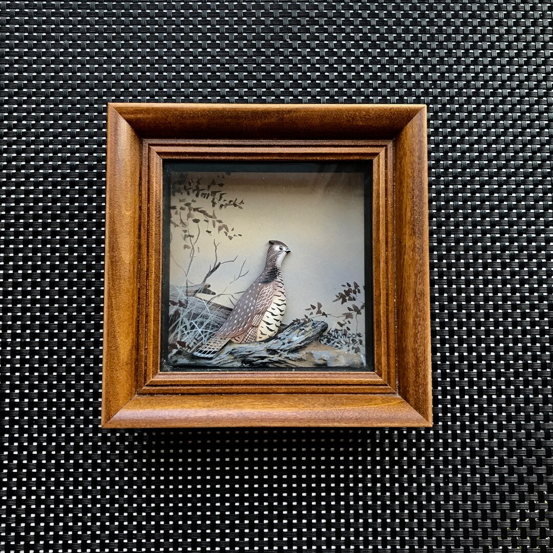 VTG Signed Joseph Q. Whipple GROUSE Framed Shadow Box Diorama - Etsy