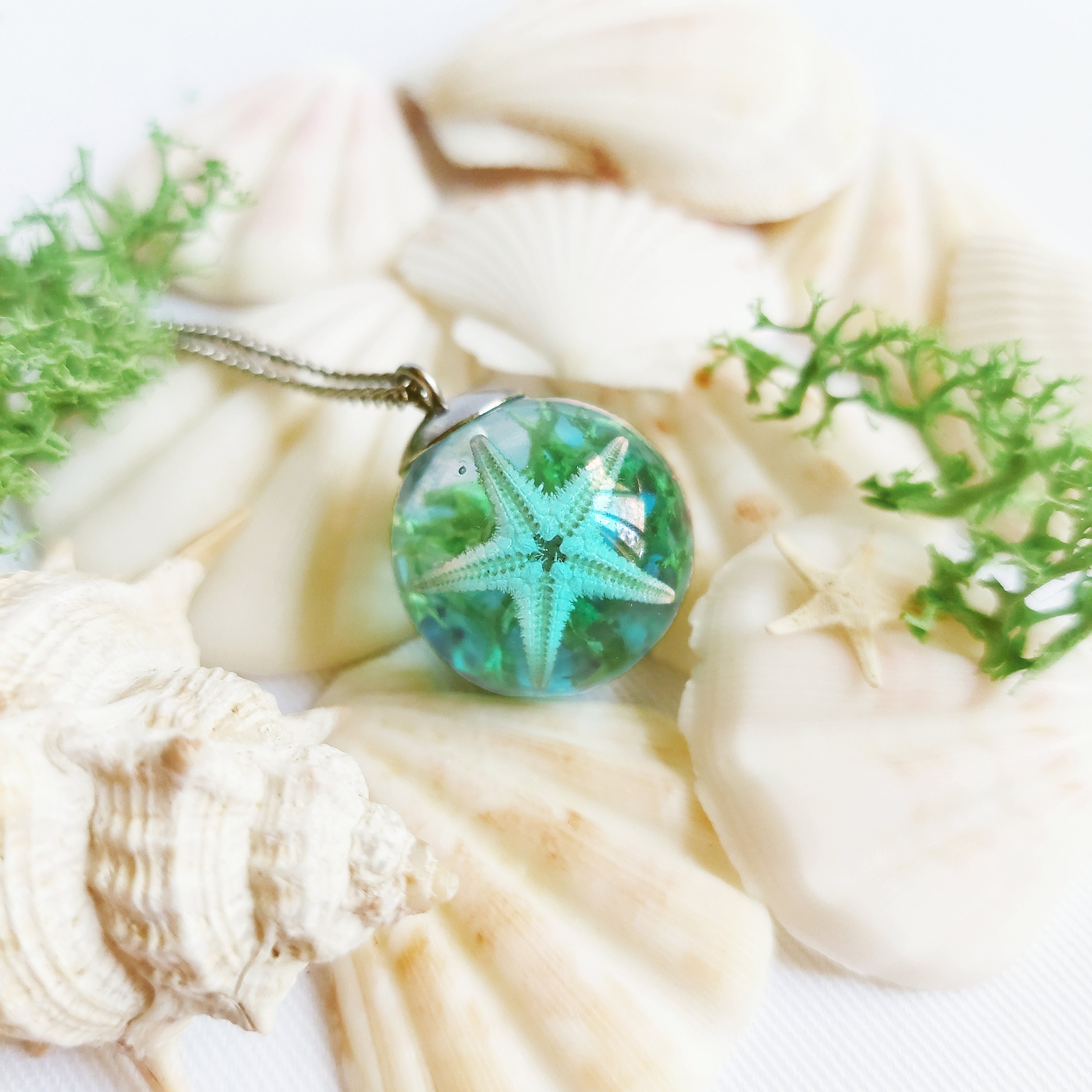 Decorative Trays Home Décor JEWELRY SHELF SHELL RESIN sand-colored Home ...