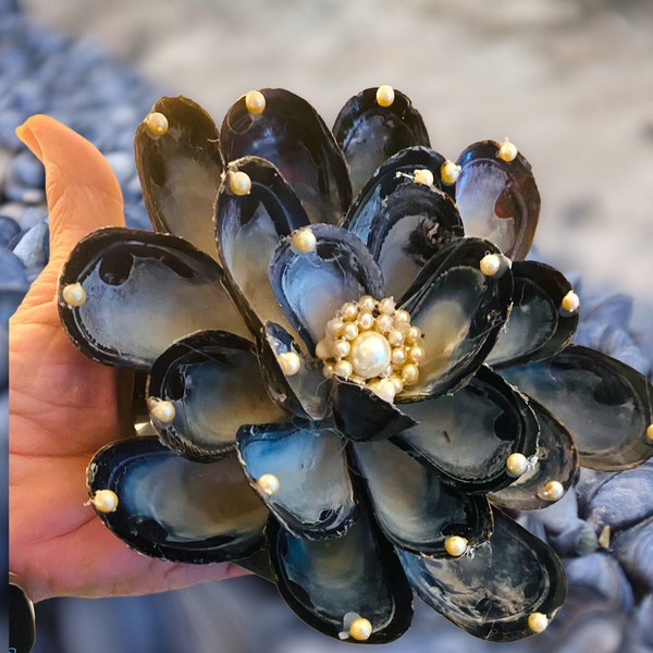 Large Mussel Shells - Etsy