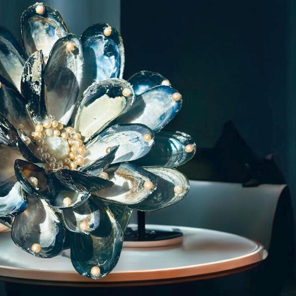 Shell Arrangements - Etsy