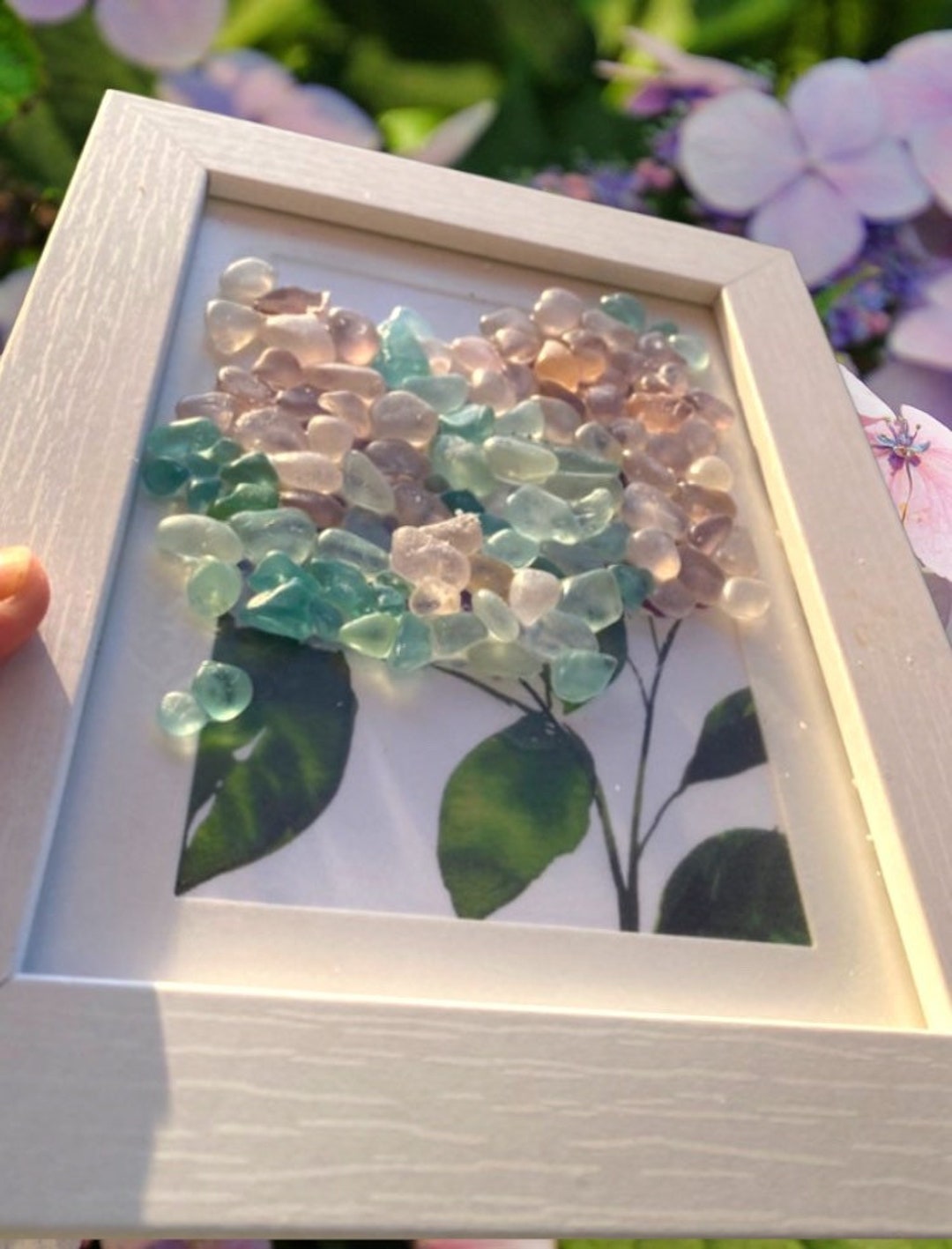 5x7 Framed Hydrangea Flower Sea Glass Picture. Beautiful Rare - Etsy