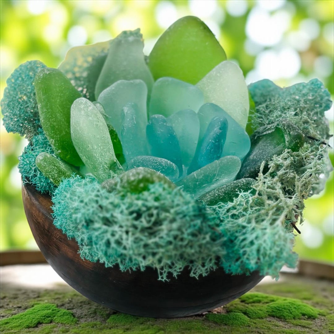 Sea Glass Succulent in Mango Wood Bowl: Aqua Green Seafoam Decor - Etsy