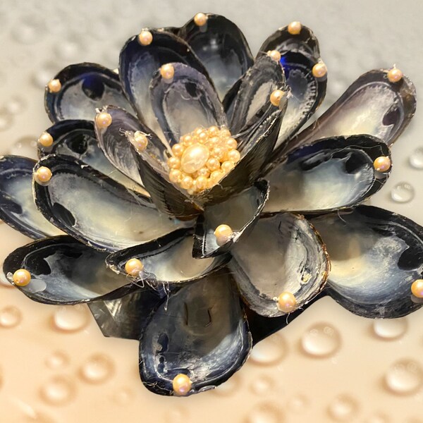 Shell Arrangements - Etsy