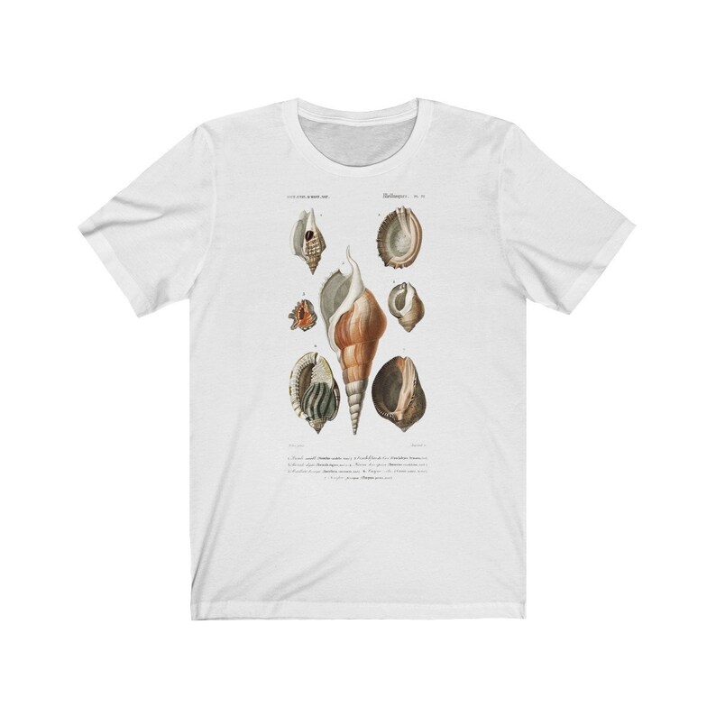 Sea shell t-shirt sea shells shells vintage t-shirt | Etsy