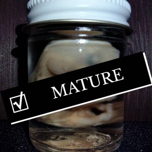 Opossum Embryo, Joey, Wet Specimens, Mature, Natural, Taxidermy ...