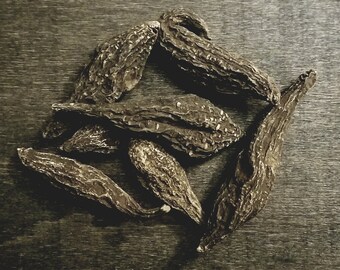 High John the Conqueror Root | Etsy