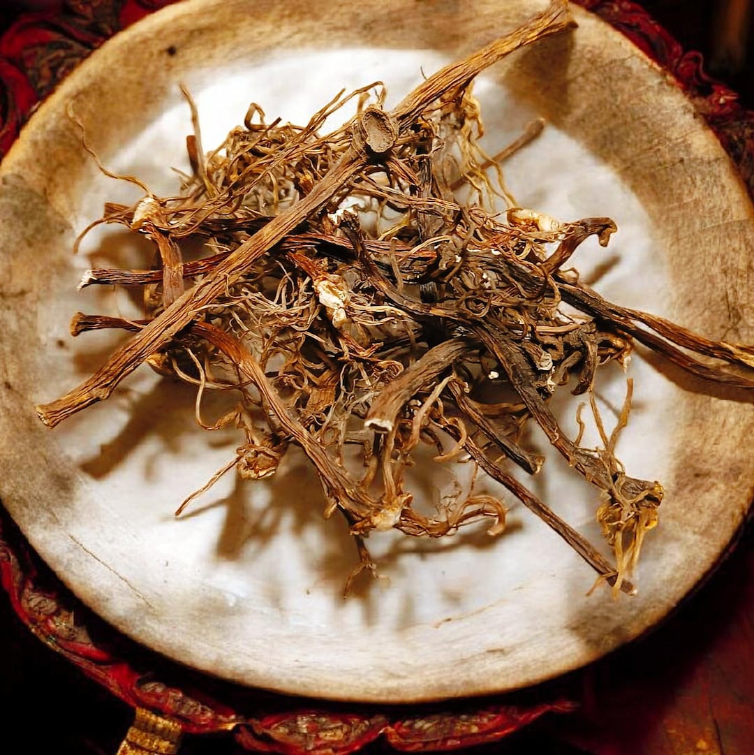 Powerful Dominion Root | Control, Power, Attraction, Good Fortune ...