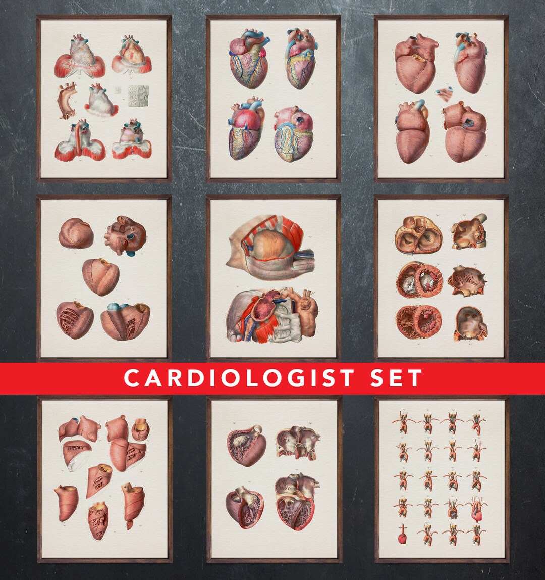 Anatomy Print, Set of 9 Posters, Gift for Cardiologist Doctor ...