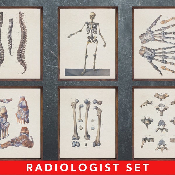 Radiology Wall Art - Etsy