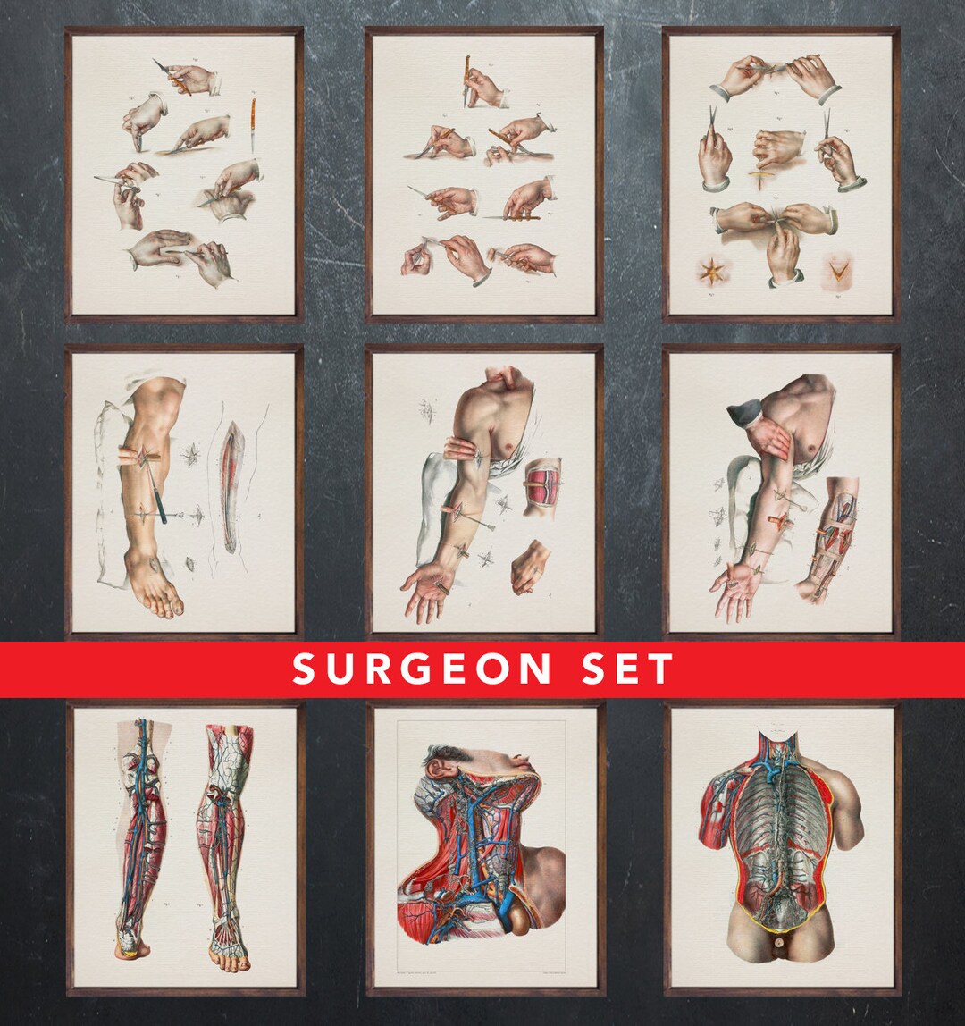 Anatomy Print, Set of 9 Posters, Gift for Surgeon Doctor, Surgery ...