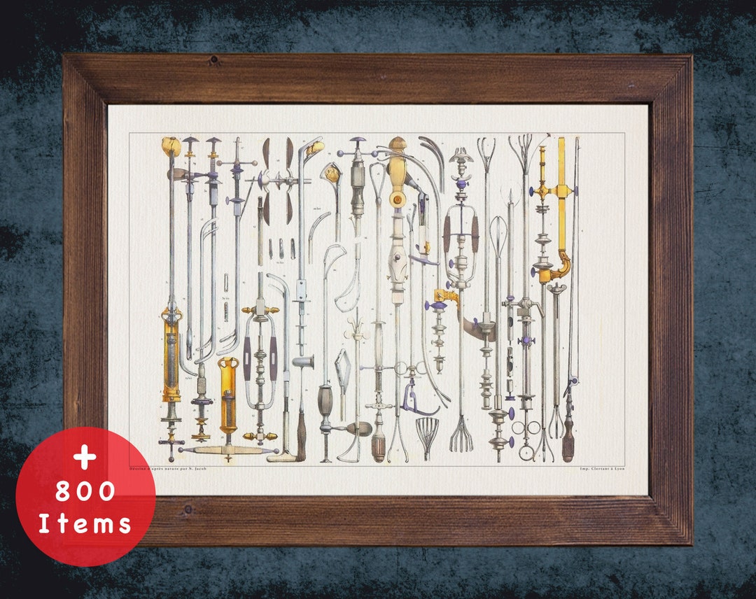 TOOLS UROLOGY BLADDER Anatomy Art Print for Medical Student Graduate ...