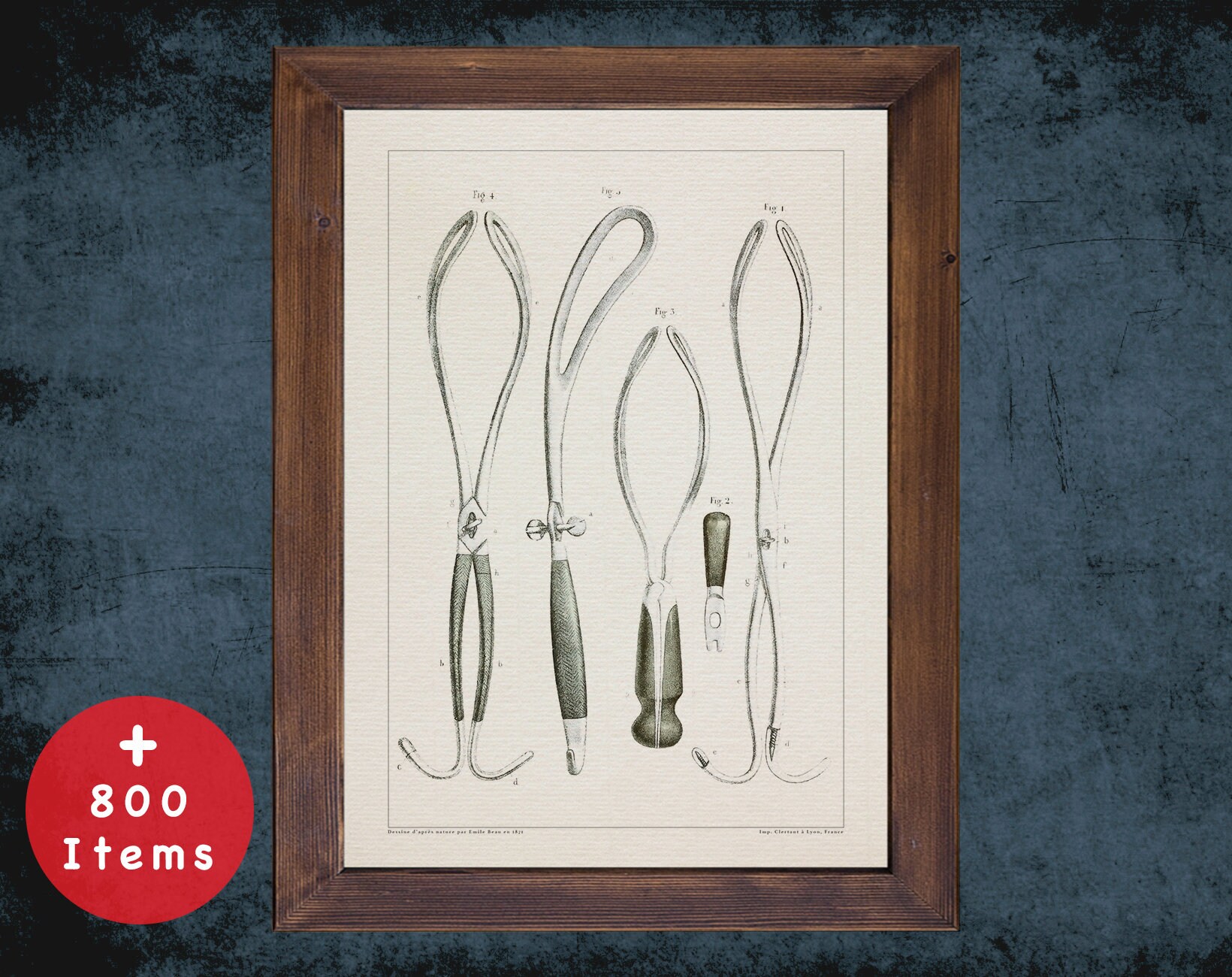 Chamberlen Forceps Anatomy Art Print: Midwife Obstetrics Decor - Etsy