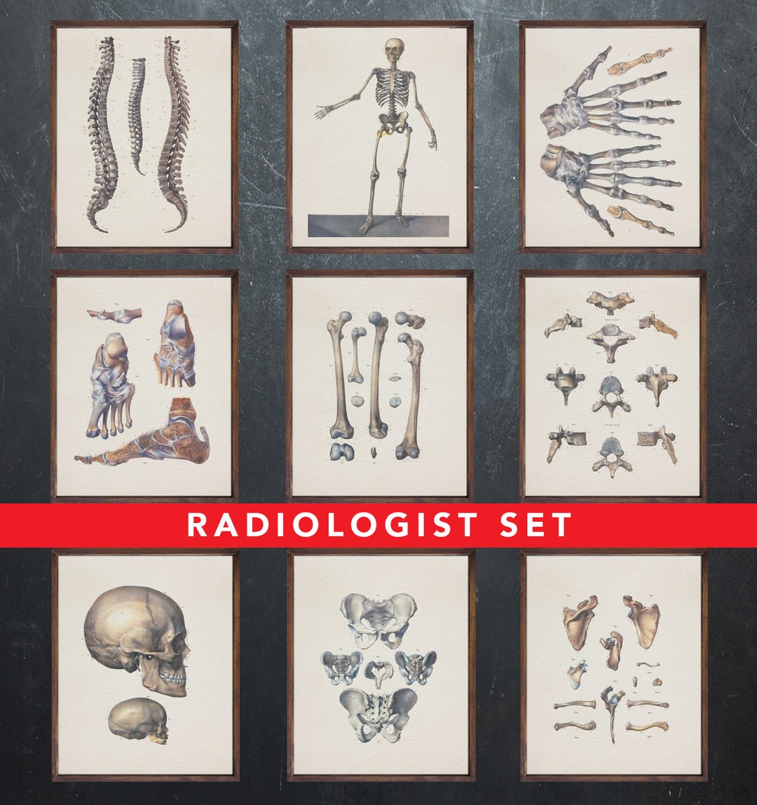 Anatomy Print, Set of 9 Posters, Gift for Radiologist Doctor, Radiology ...