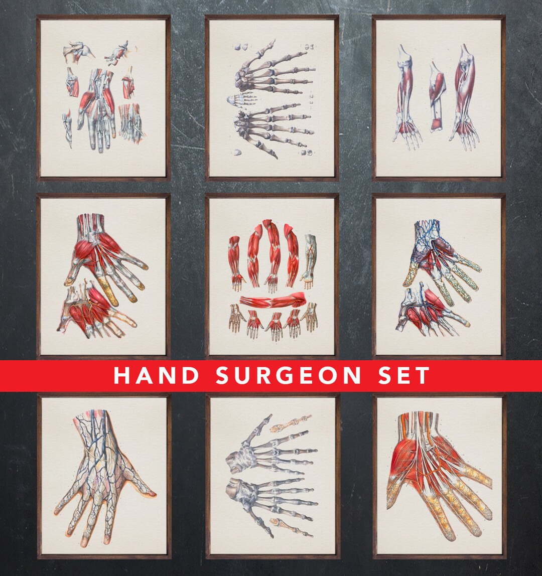 Anatomy Print, Set of 9 Posters, Gift for Hand Surgeon, Hand Surgery ...