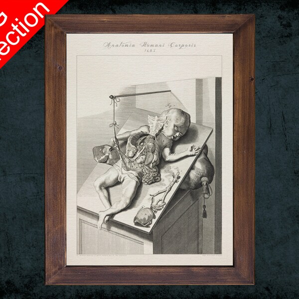 Dissection Art - Etsy