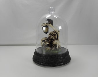 Skull Display Case - Etsy