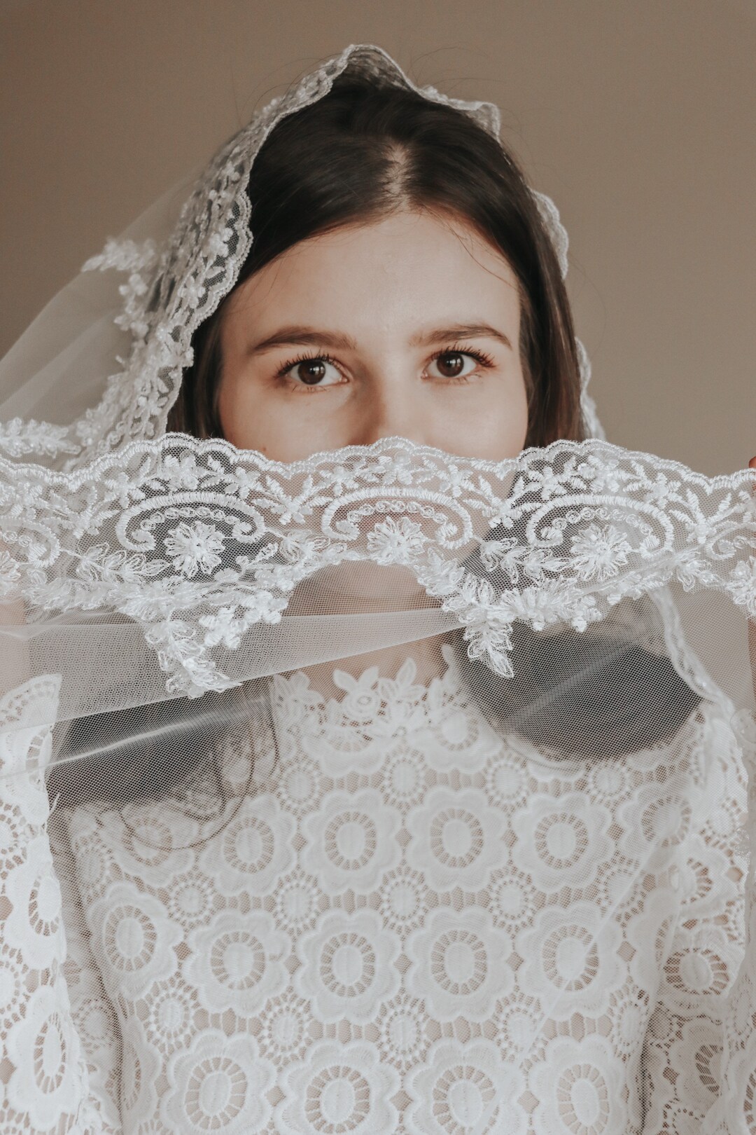 White Embroidered and Beaded Veil, Elegant Chapel Length Veil, White ...