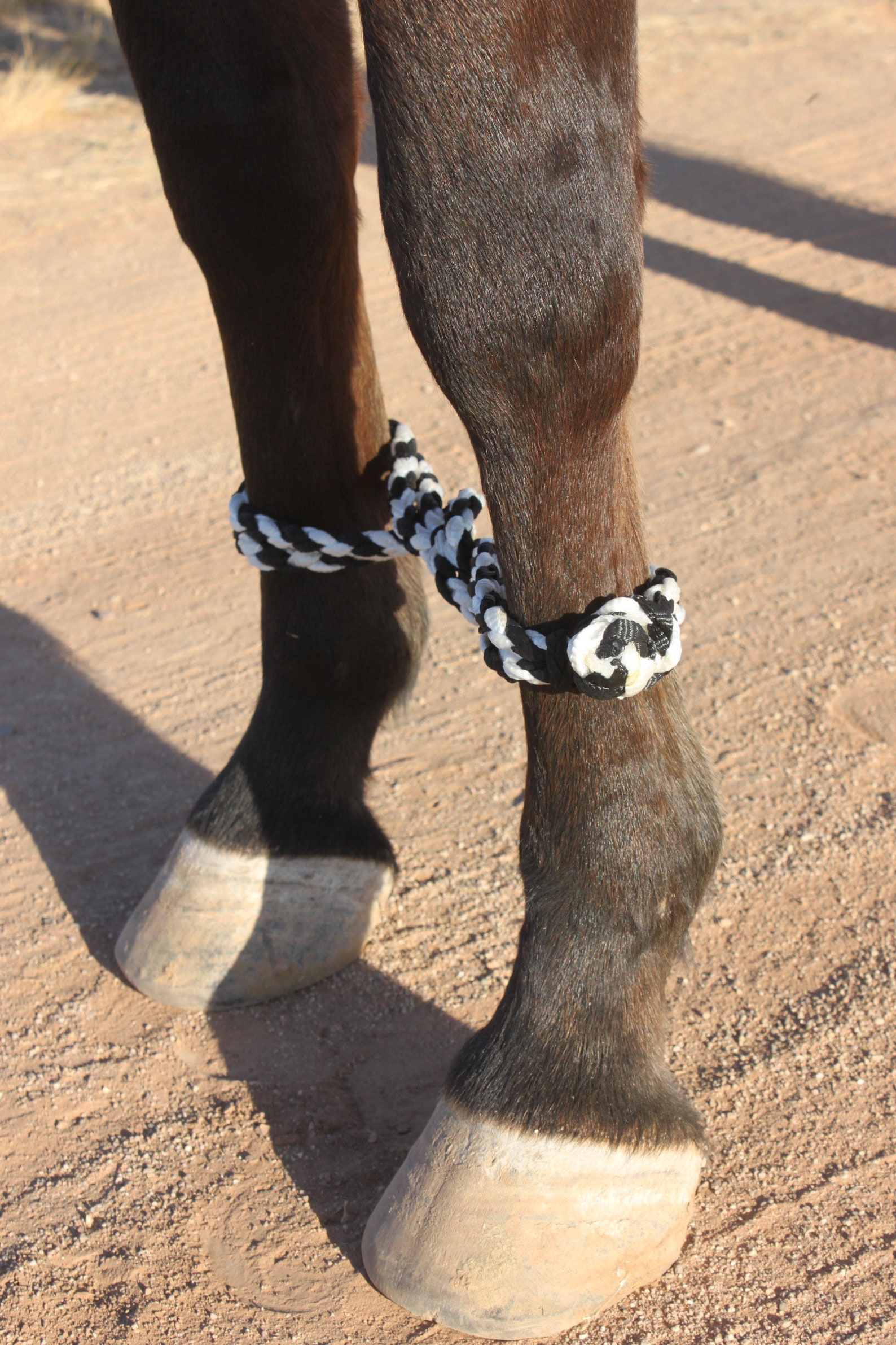 Braided Mule Tape Twist Hobble - Etsy