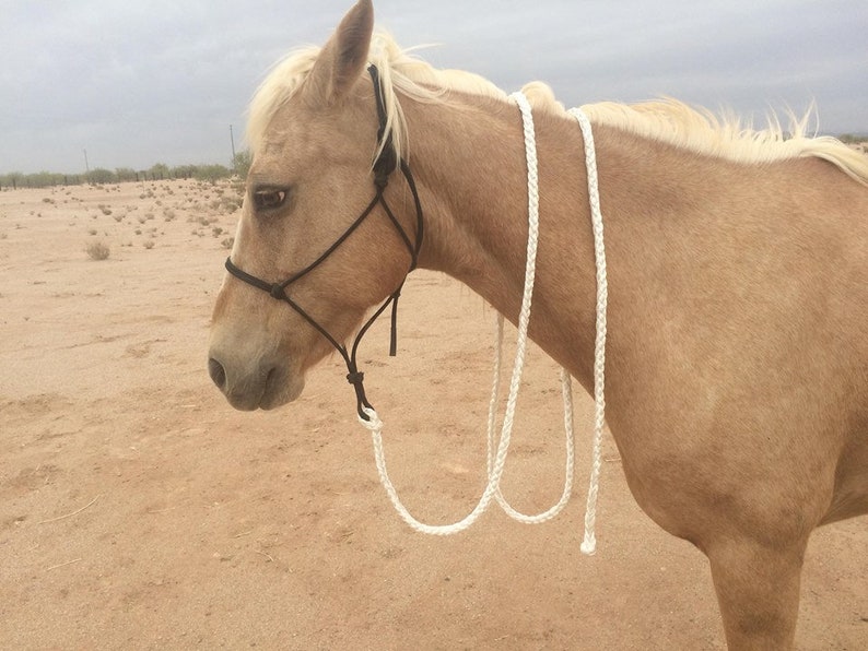 Mule Tape Lead Rope - Etsy