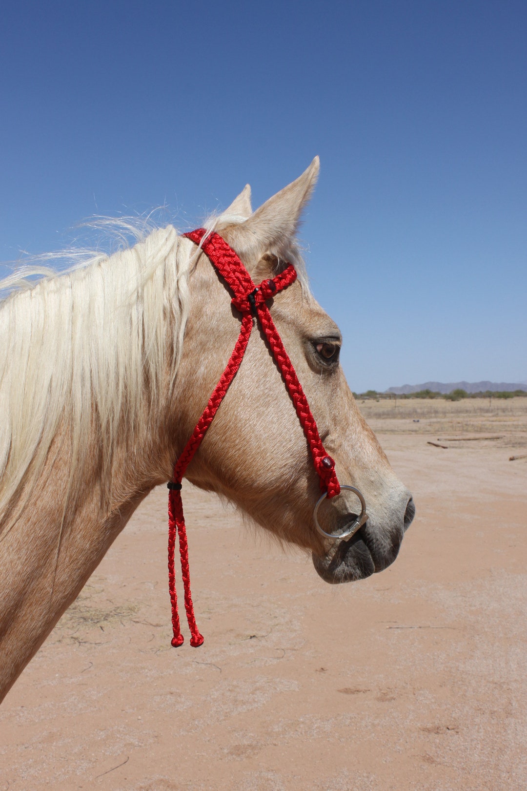 Braided Mule Tape Bridle With Fancy Throatlatch - Quick Change Option - Ear Choices - Custom - Etsy