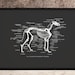 Vintage Greyhound Anatomy Print | Greyhound Skeleton Poster - Etsy